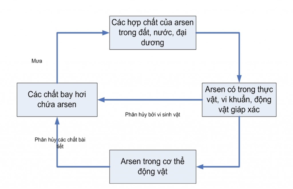 Arsenic toxicity, distribution and treatment | Môi trường Nam Việt