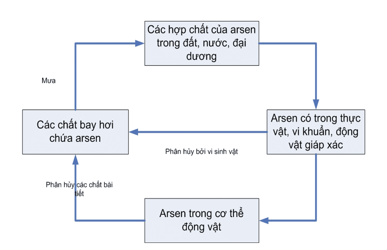 Arsenic toxicity, distribution and treatment | Môi trường Nam Việt